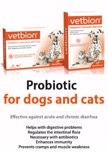 Home - Vetbion - Probiotic for dogs and cats